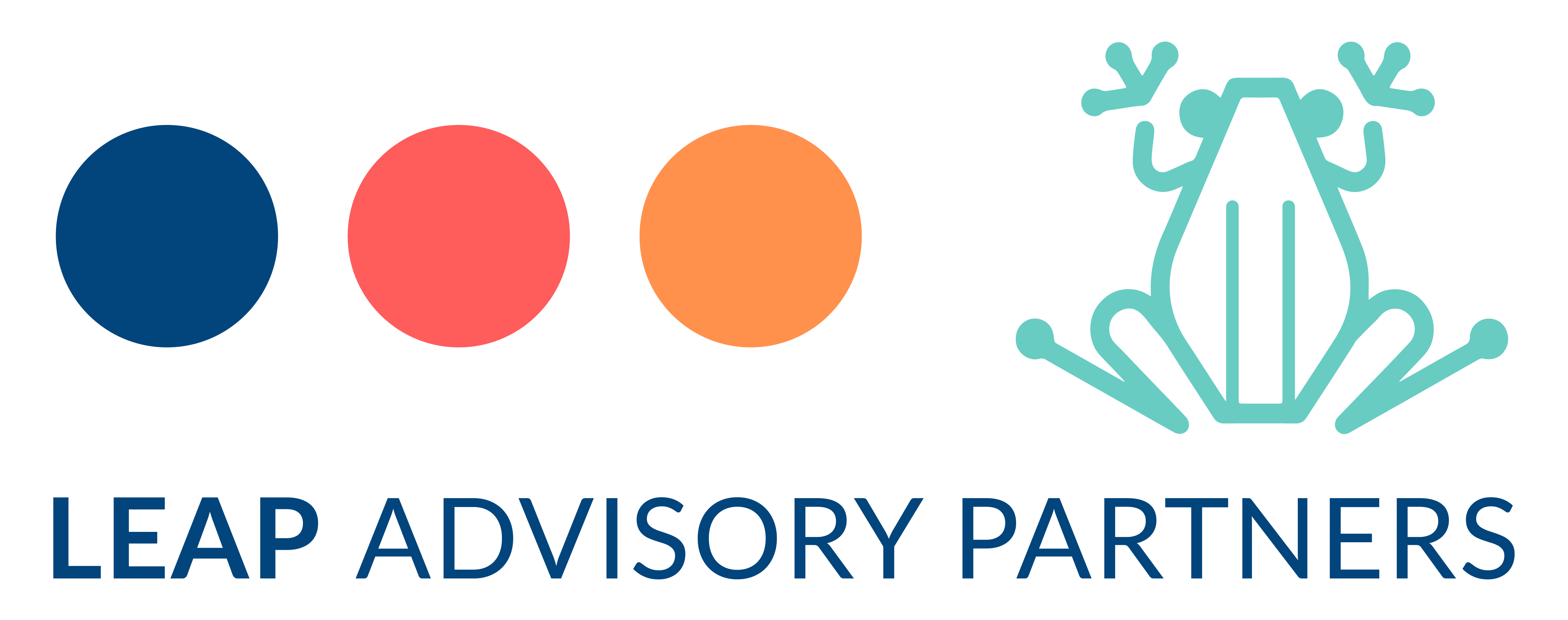 Leap Advisory Partners - Custom Pricing Builder